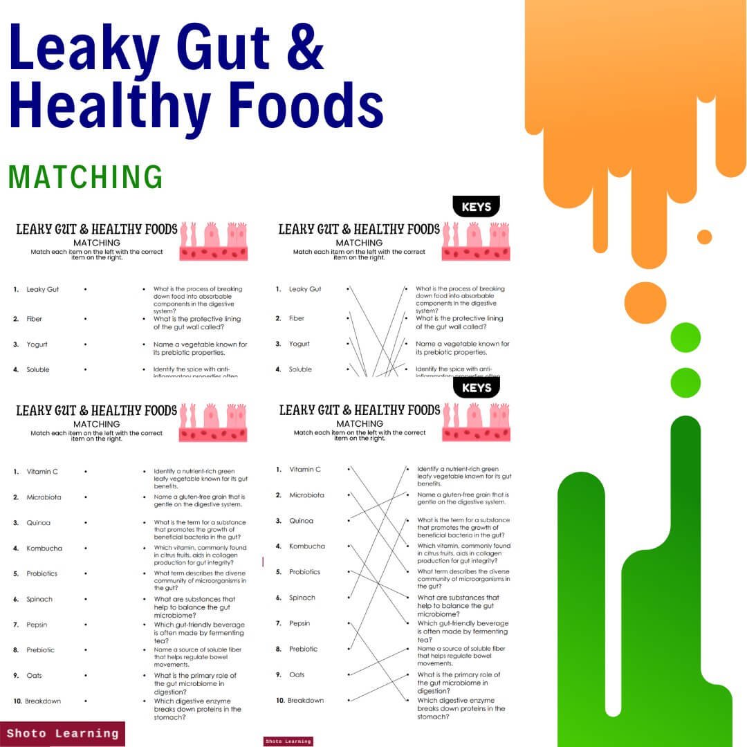 Gut Health Delights Poster: Boost Your Digestive Wellness