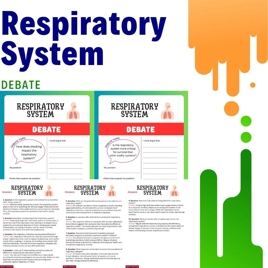 Respiratory System Poster: Learn Anatomy & Function | Free Download