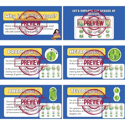 Meiosis Multiple Choice Worksheet | 20 Questions & Answer Key