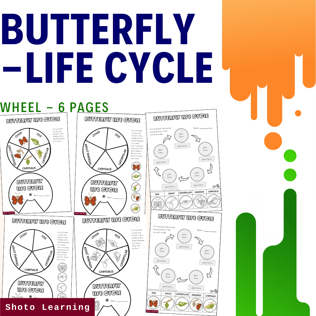 Butterfly - Life Cycle — SHOTO LEARNING | English Math Science Worksheets