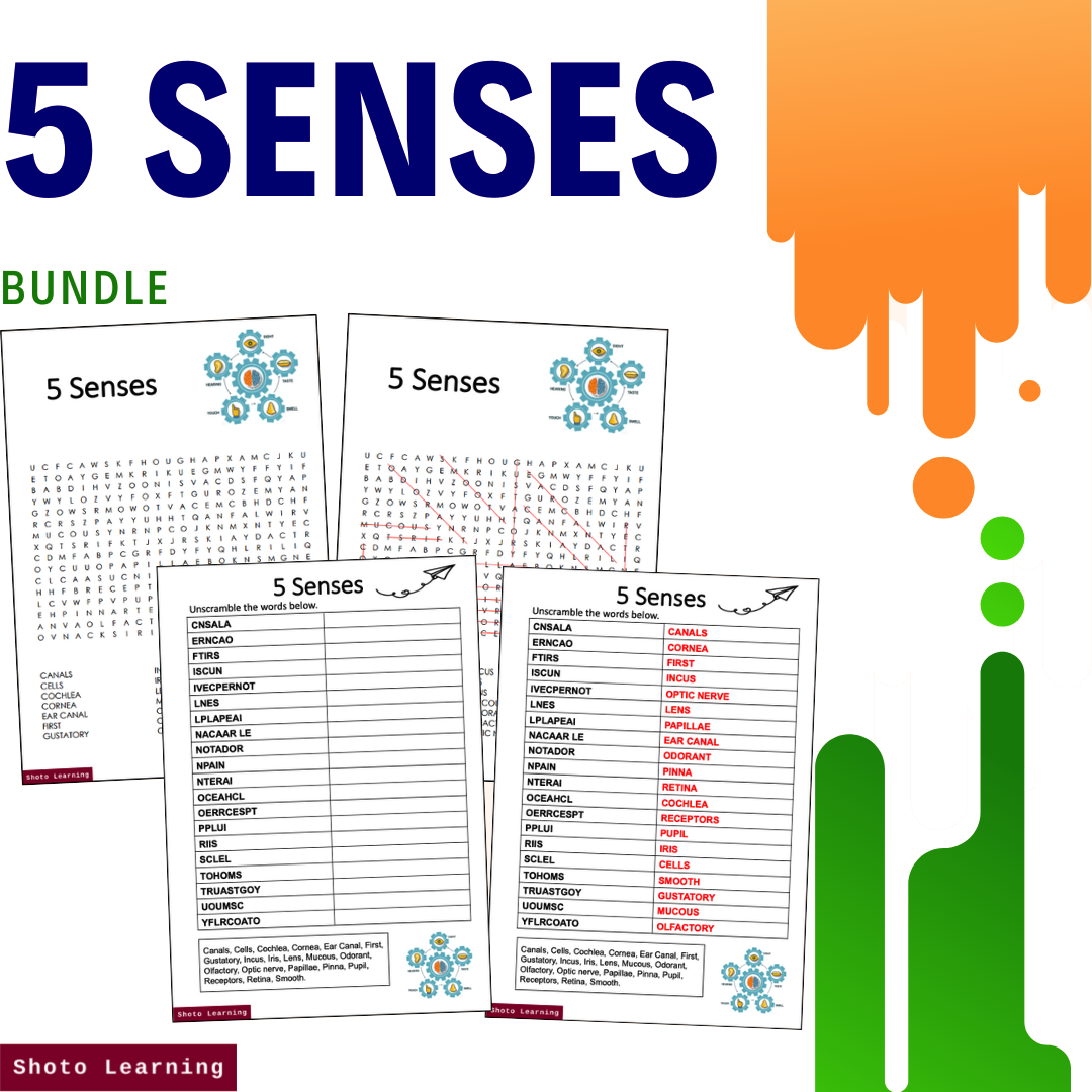 5 SENSES SCIENCE ACTIVITY - BUNDLE WORD FIND SCRAMBLE WORDS VOCABULARY ...