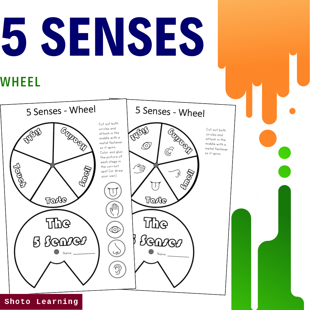 FIVE 5 SENSES SPIN WHEEL SCIENCE ACTIVITY CRAFT CREATIVITY GAME PUZZLE ...
