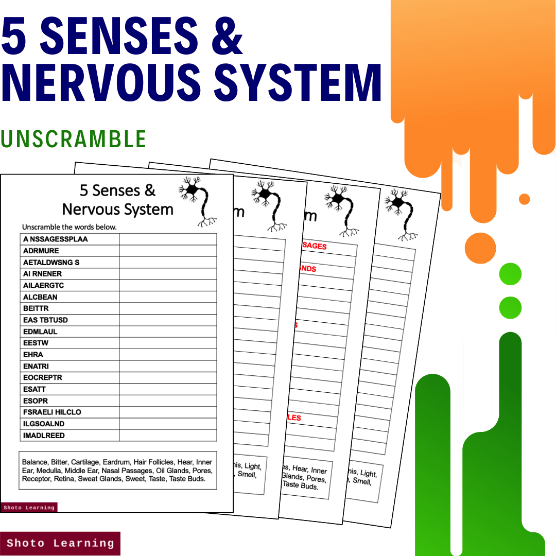 5 Senses and Nervous System — Shoto Learning | English | Math | Science ...