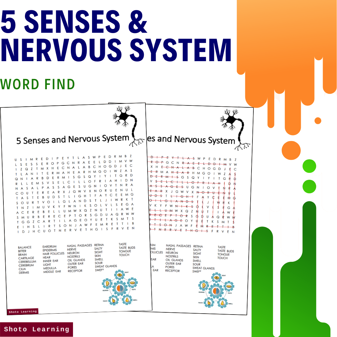 5 SENSES AND NERVOUS SYSTEM SCIENCE ACTIVITY WORD FIND SEARCH FINDER ...