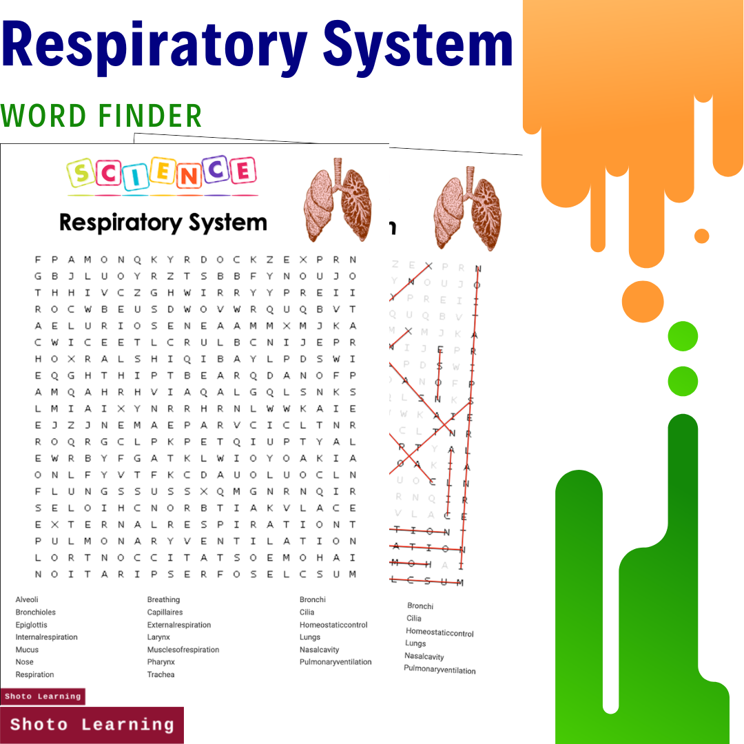 RESPIRATORY SYSTEM SCIENCE ACTIVITY - WORD FIND FINDER GAME VOCABULARY ...