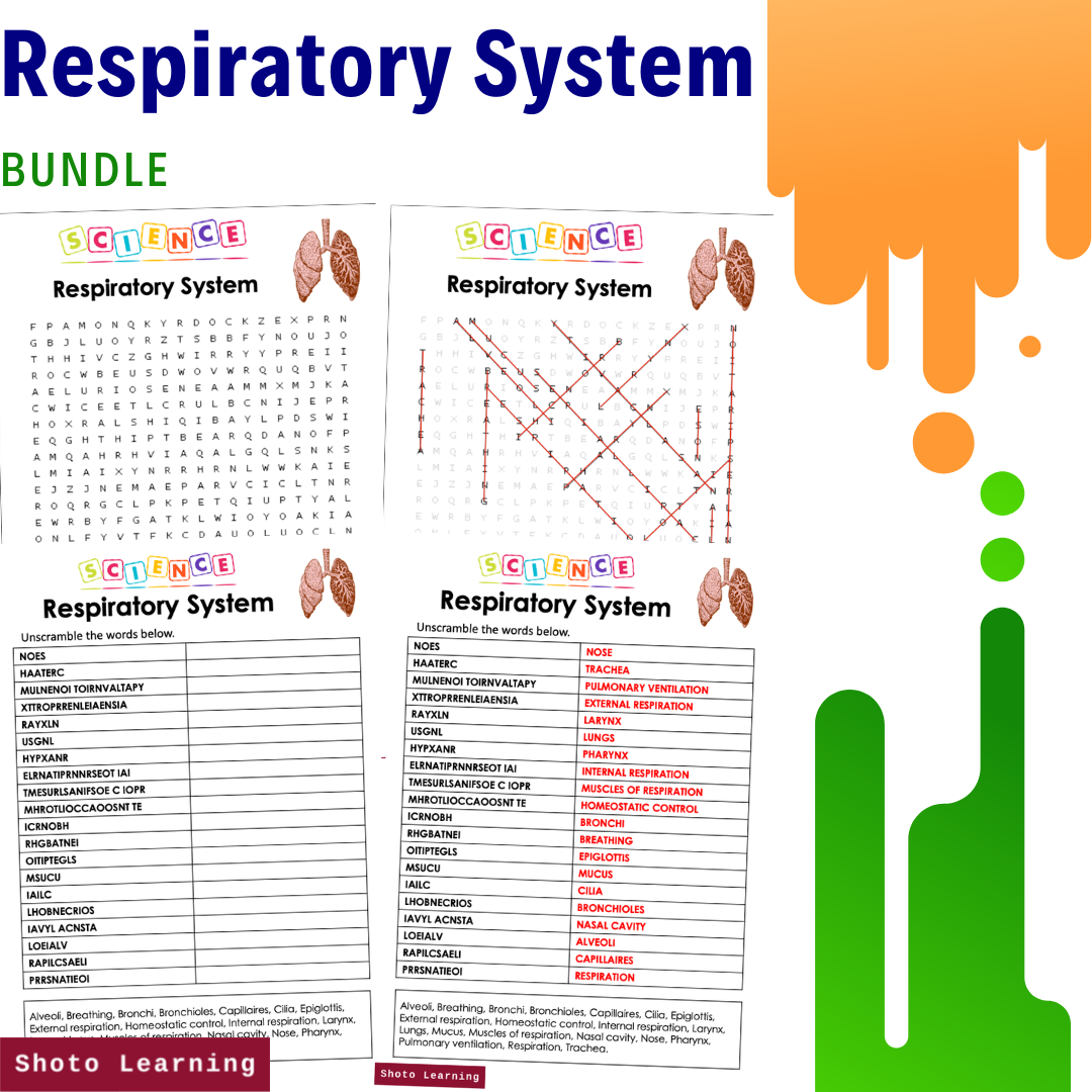 RESPIRATORY SYSTEM SCIENCE ACTIVITY BUNDLE WORD FIND SCRAMBLE WORDS ...