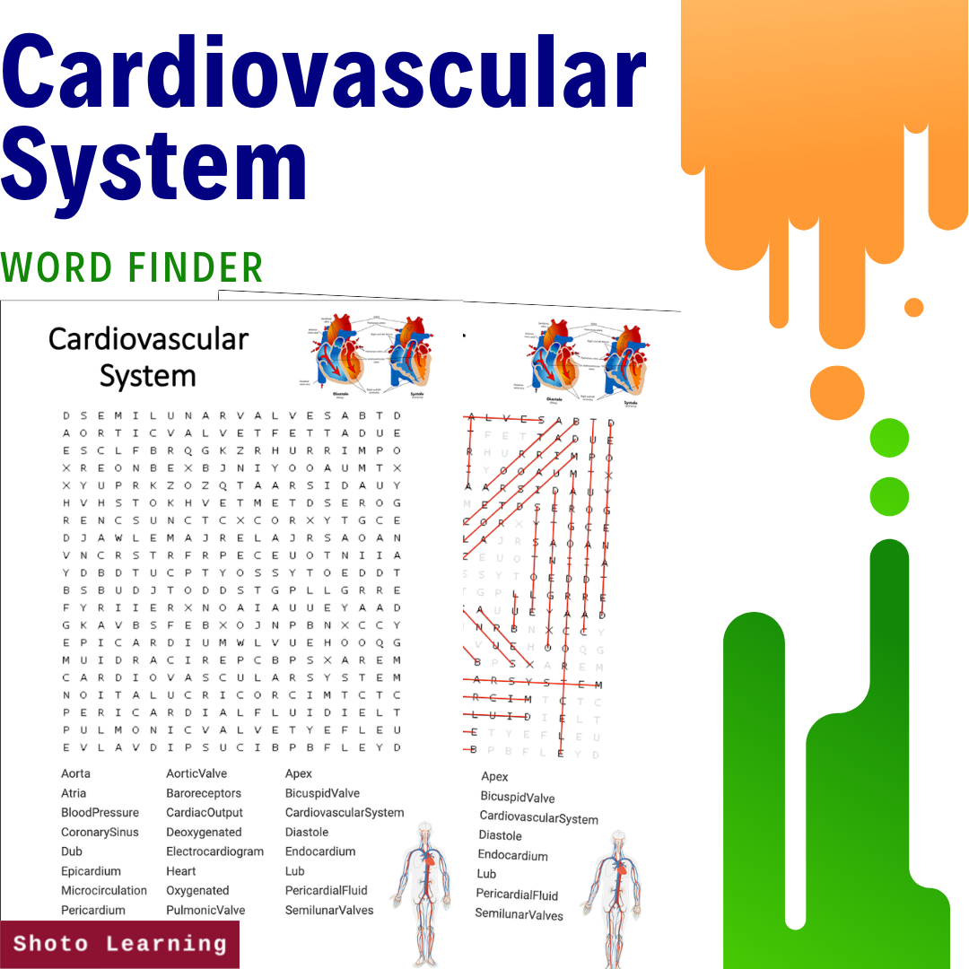 Cardiovascular System — Shoto Learning | English | Math | Science ...