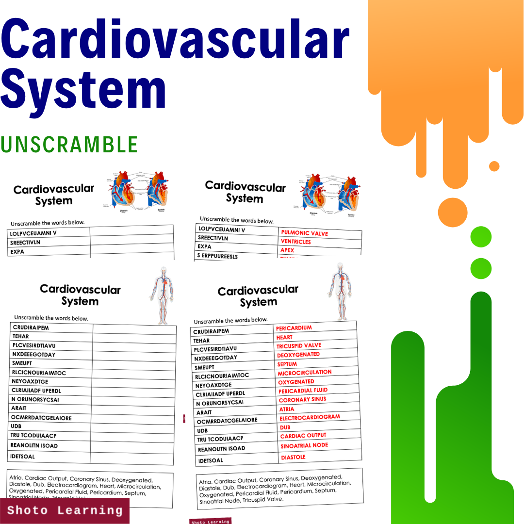 CARDIOVASCULAR SYSTEM SCIENCE ACTIVITY - SCRAMBLE WORDS VOCABULARY WORD ...