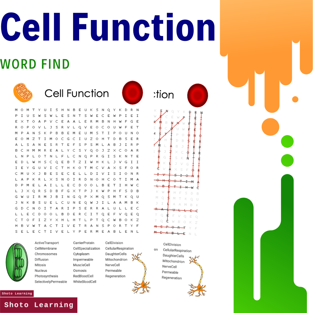 Cell Function — Shoto Learning | English | Math | Science Worksheets