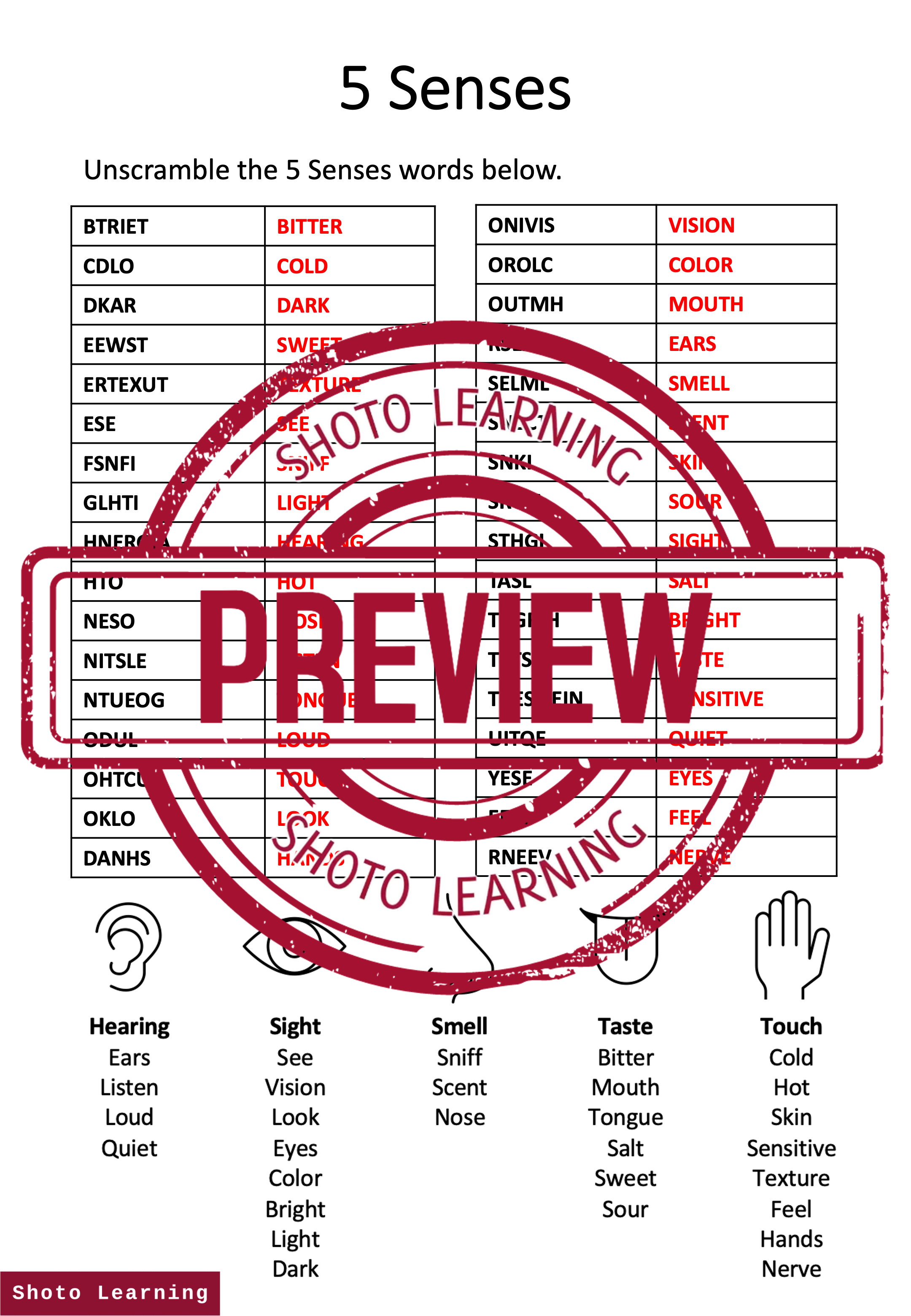 MITOSIS SCIENCE ACTIVITY - SCRAMBLE WORDS VOCABULARY WORD GAME ...