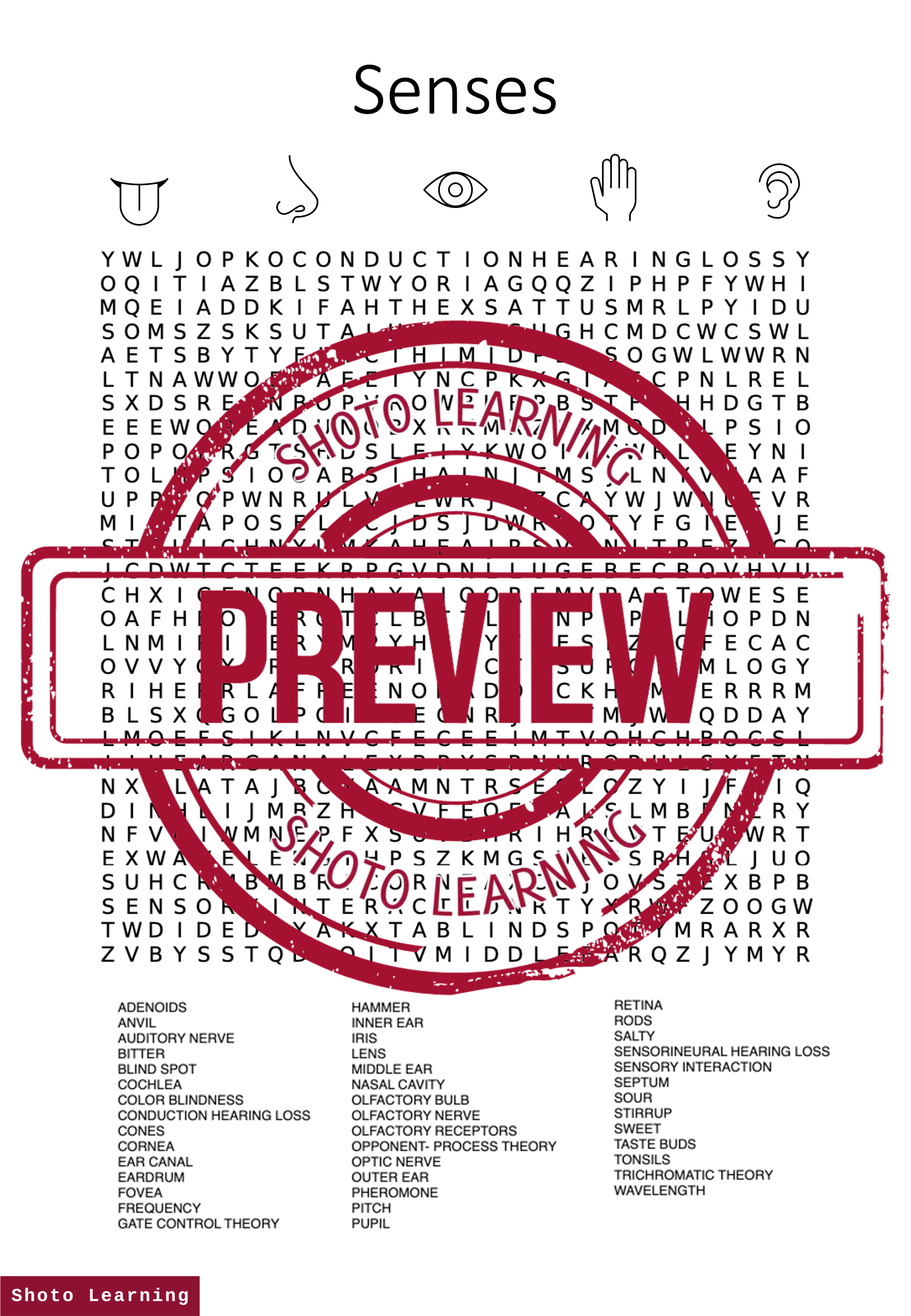 Genetics Word Search Worksheet: Find the Hidden Genetics Terms! — Shoto ...