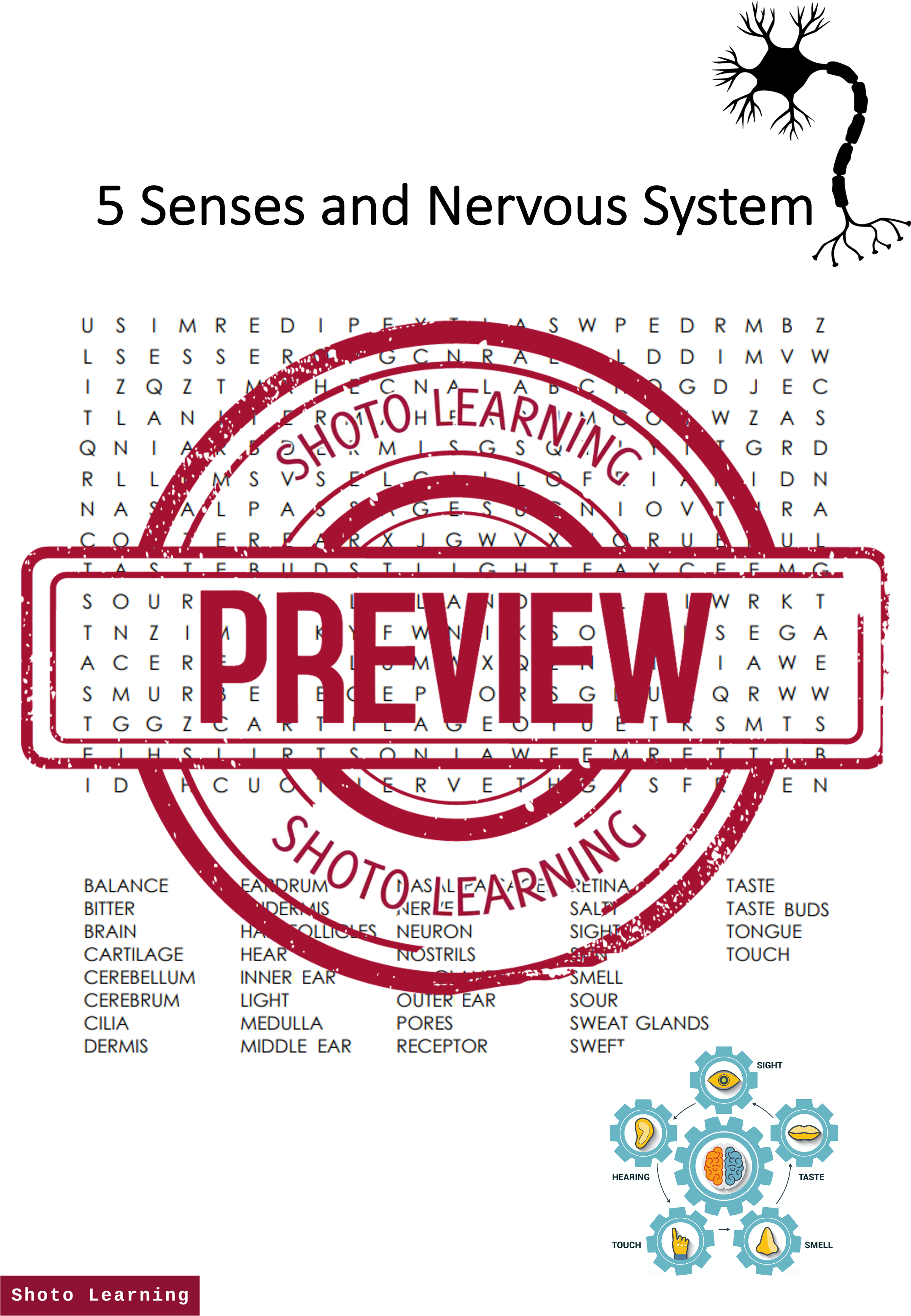 5 SENSES AND NERVOUS SYSTEM SCIENCE ACTIVITY WORD FIND SEARCH FINDER ...