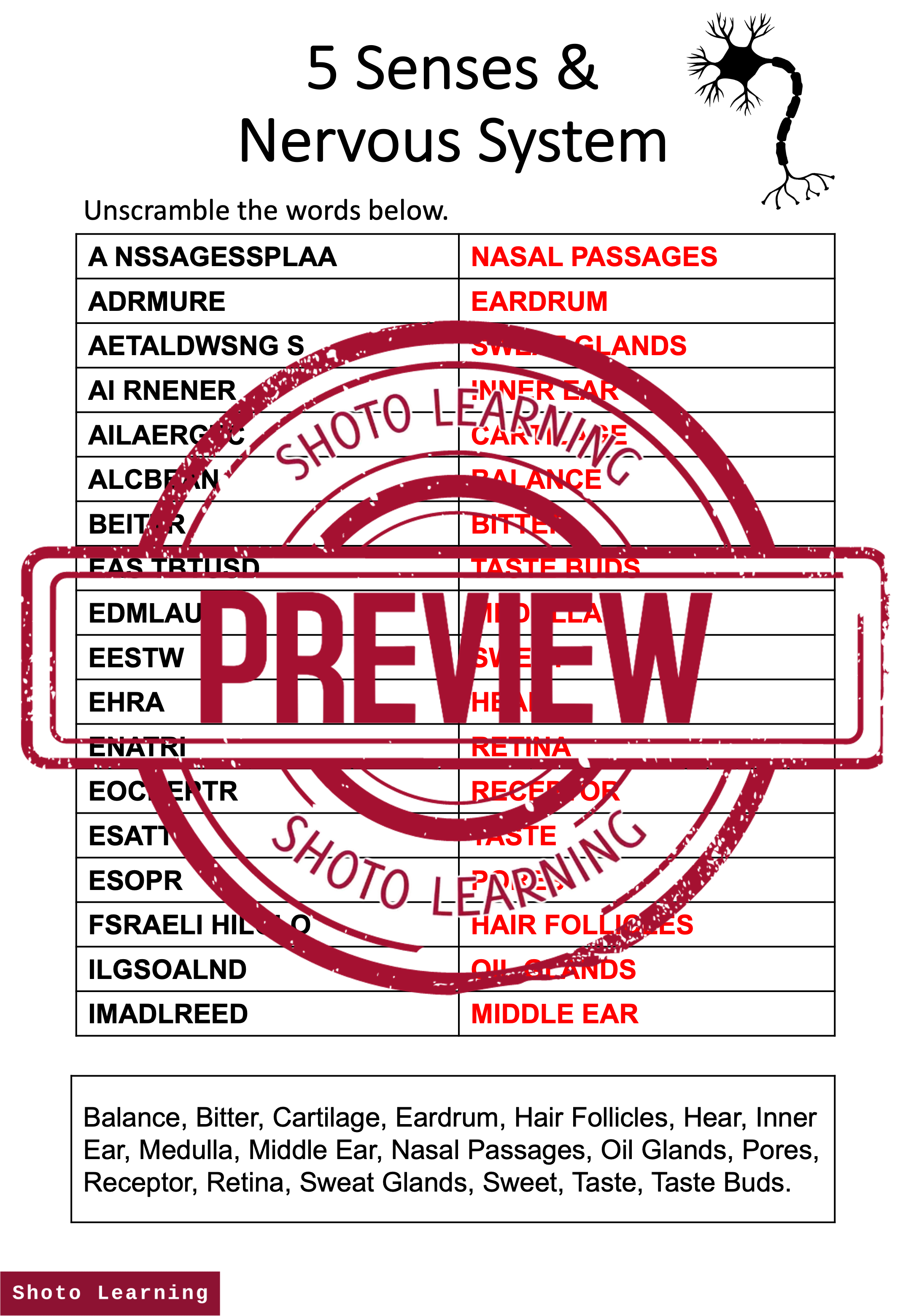 PLANTS REPRODUCTION AND GROWTH SCIENCE ACTIVITY - SCRAMBLE WORDS ...