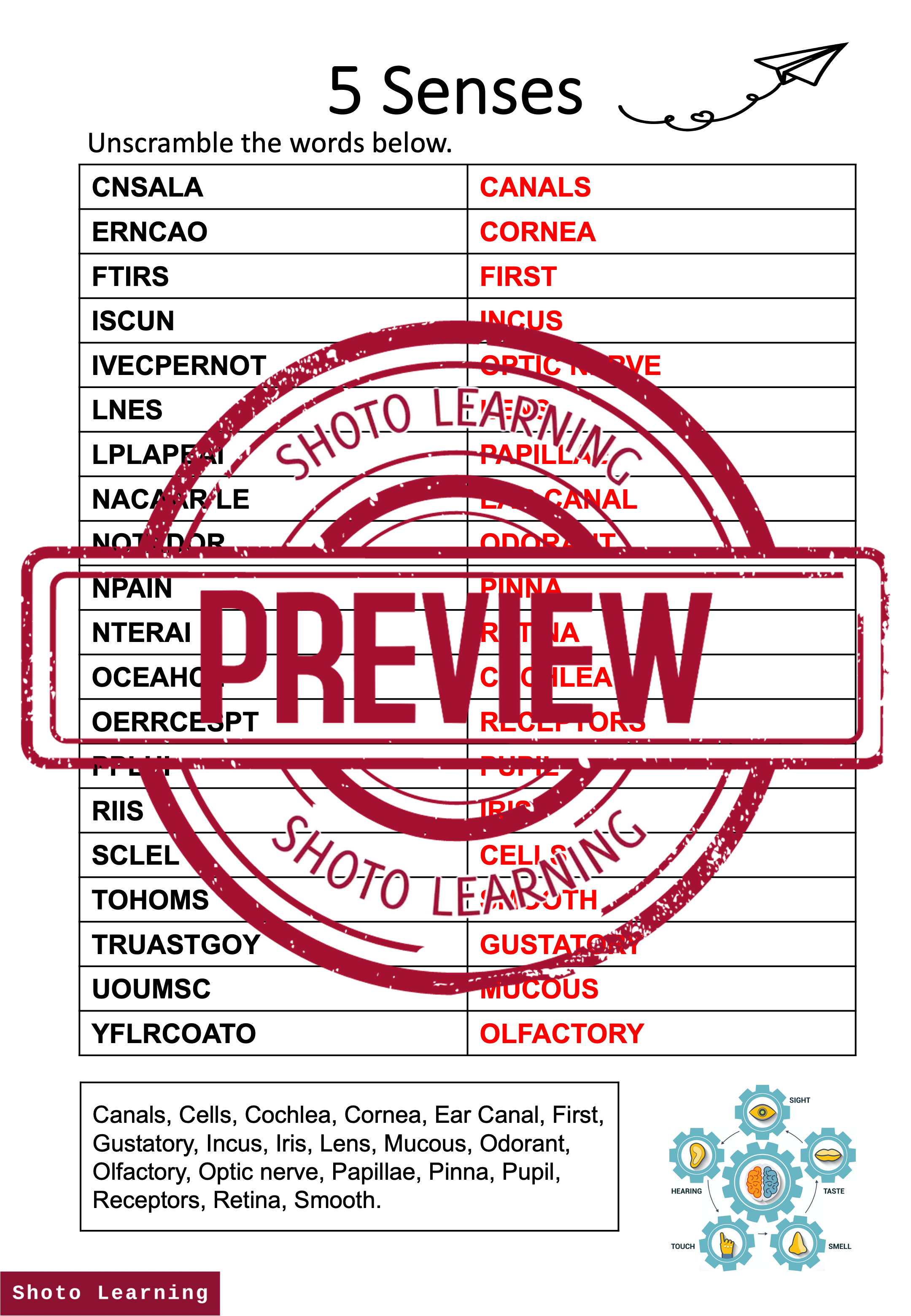 LIVING AND NON LIVING SCIENCE ACTIVITY UNSCRAMBLE WORDS SCRAMBLE ...