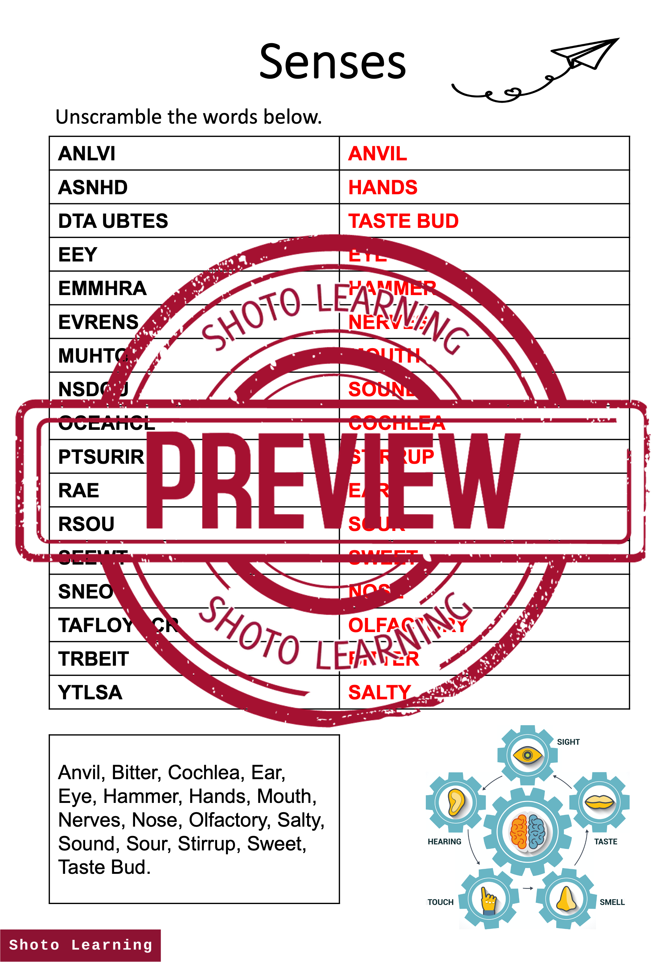 Respiratory System: A Breathtaking Word Scramble — Shoto Learning ...