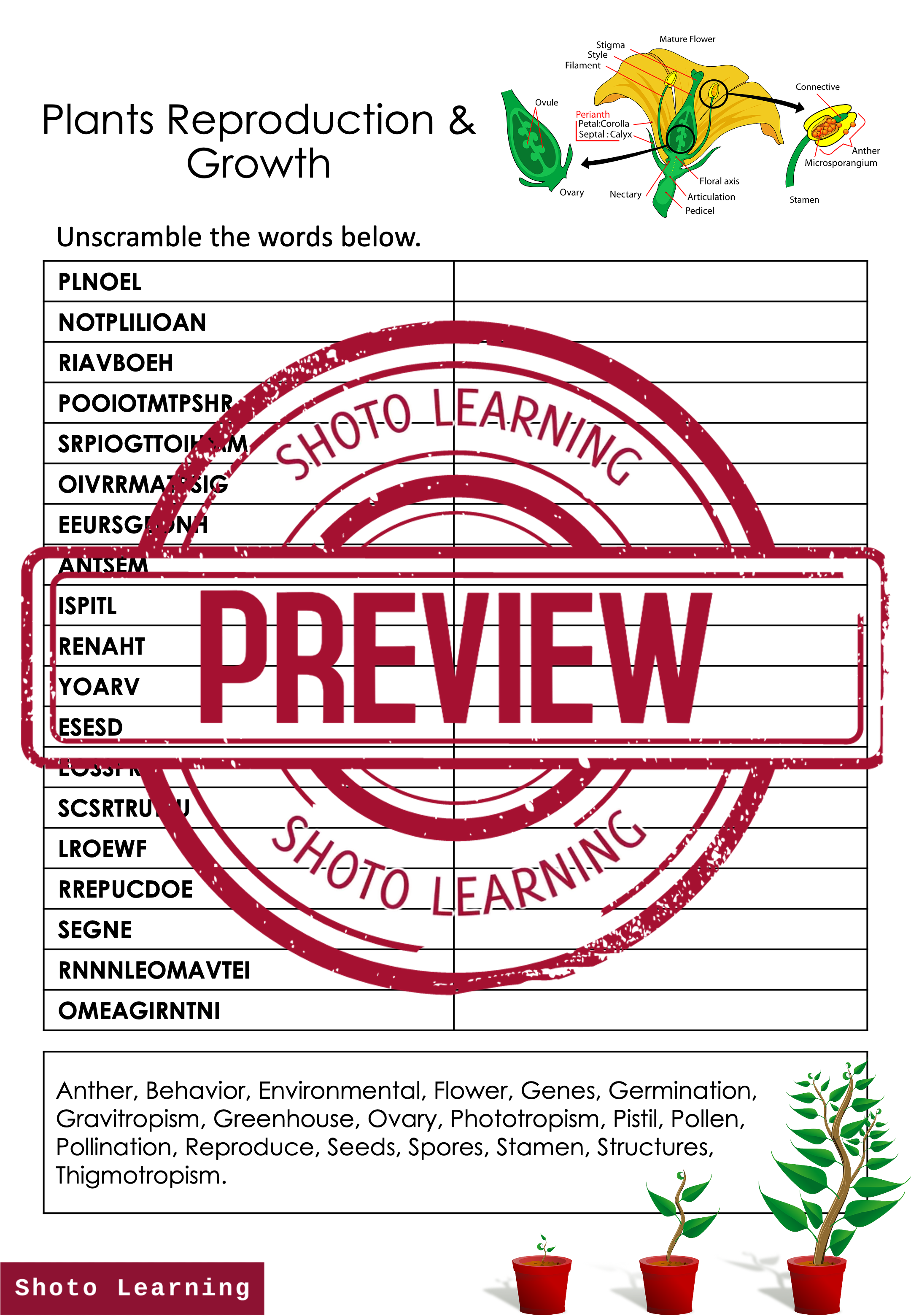 PLANTS REPRODUCTION AND GROWTH SCIENCE ACTIVITY - SCRAMBLE WORDS ...
