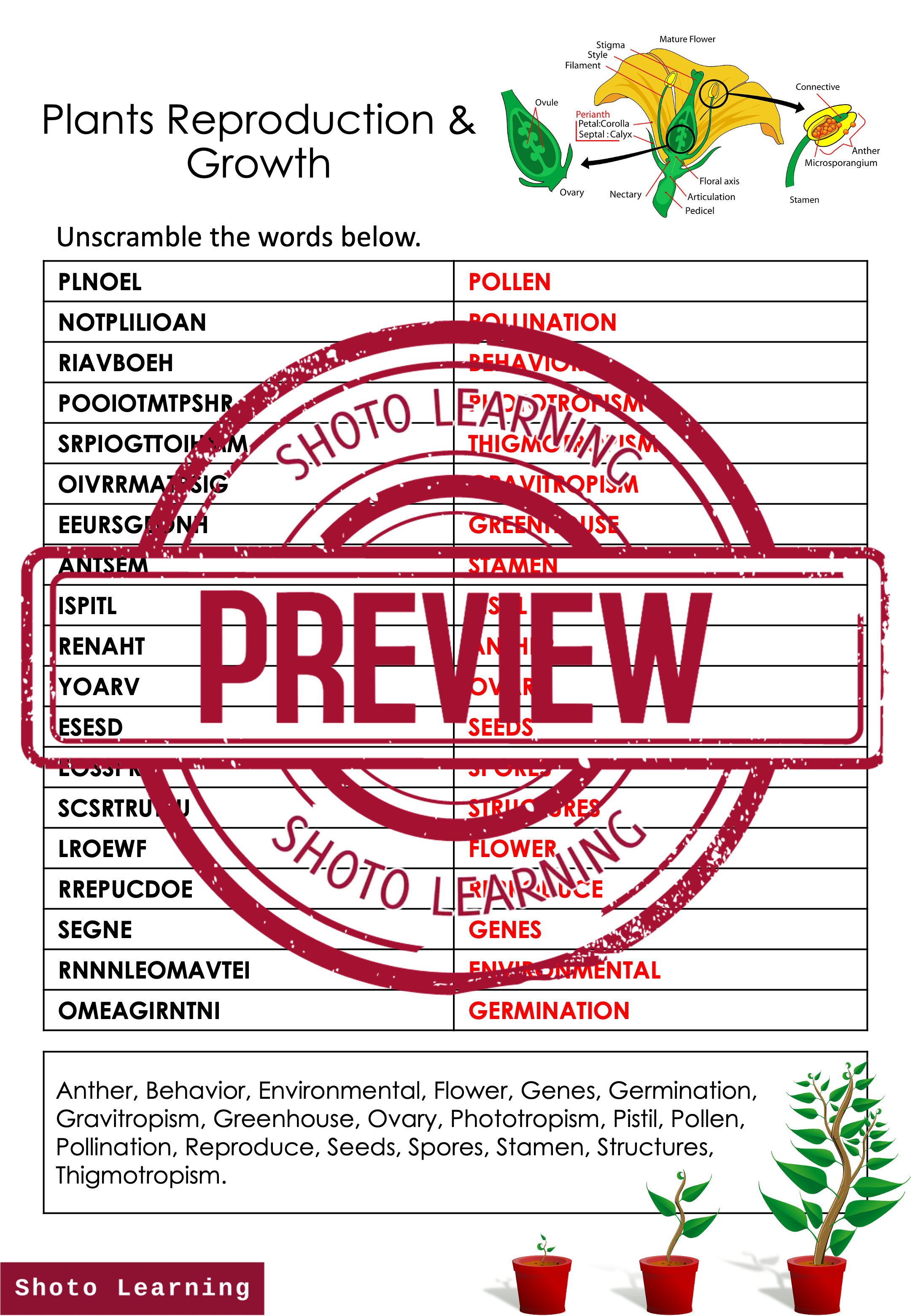 PLANTS REPRODUCTION AND GROWTH SCIENCE ACTIVITY - SCRAMBLE WORDS ...