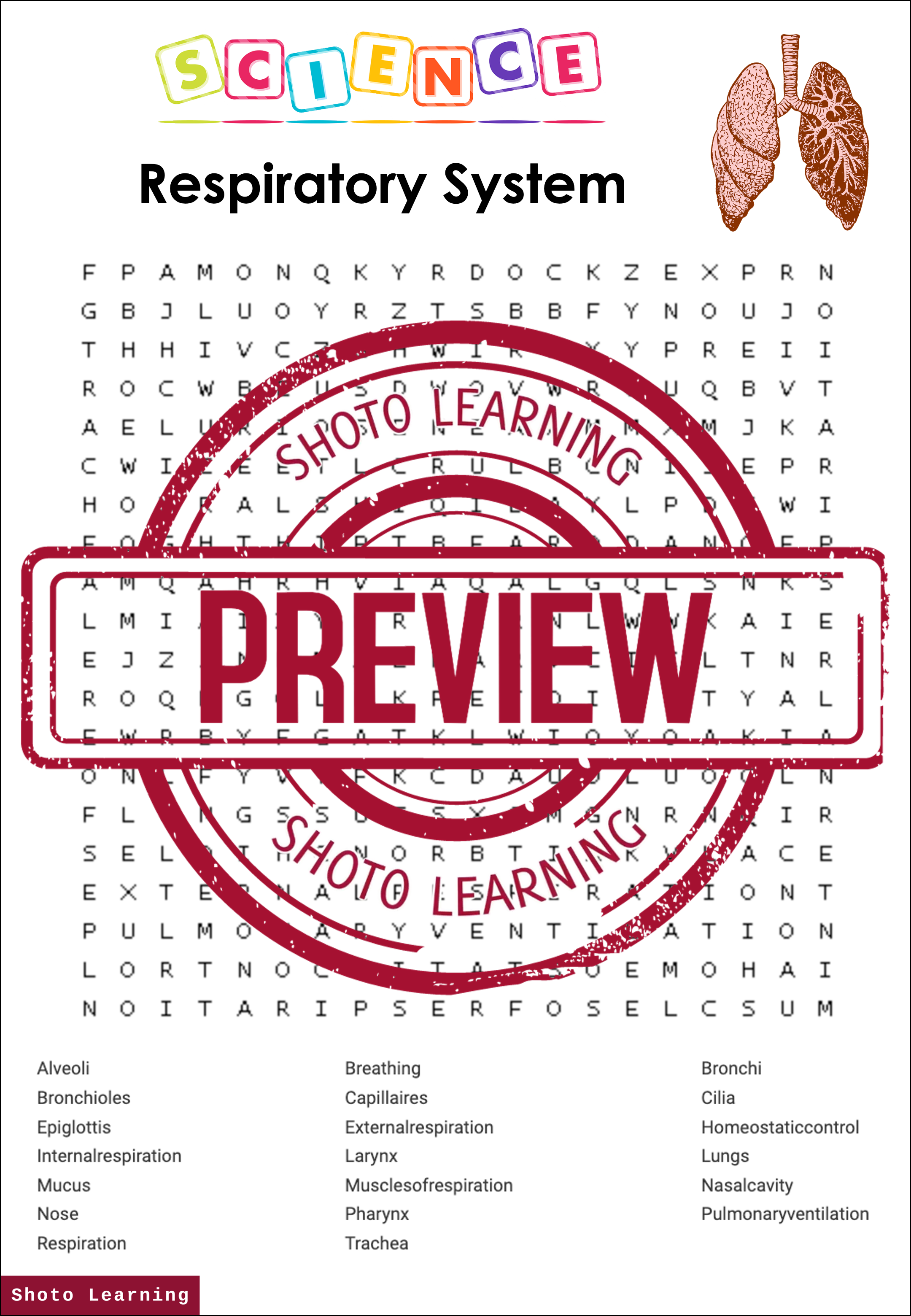 RESPIRATORY SYSTEM SCIENCE ACTIVITY - WORD FIND FINDER GAME VOCABULARY ...