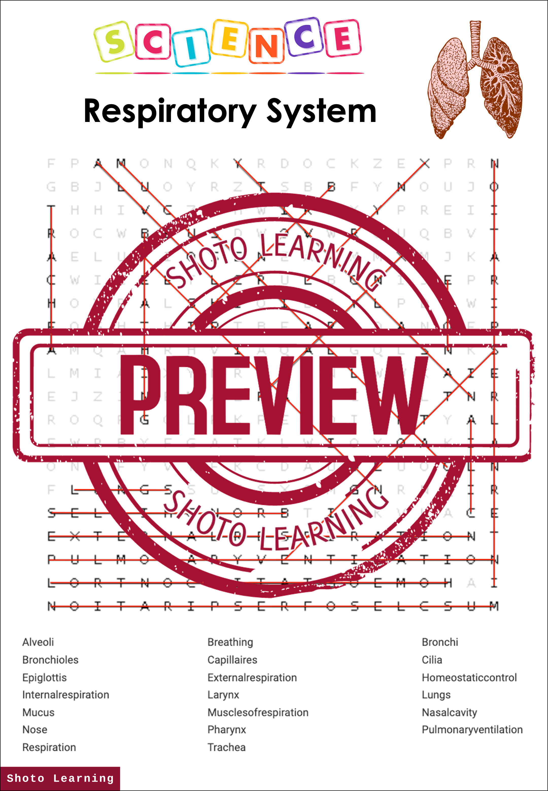 RESPIRATORY SYSTEM SCIENCE ACTIVITY - WORD FIND FINDER GAME VOCABULARY ...