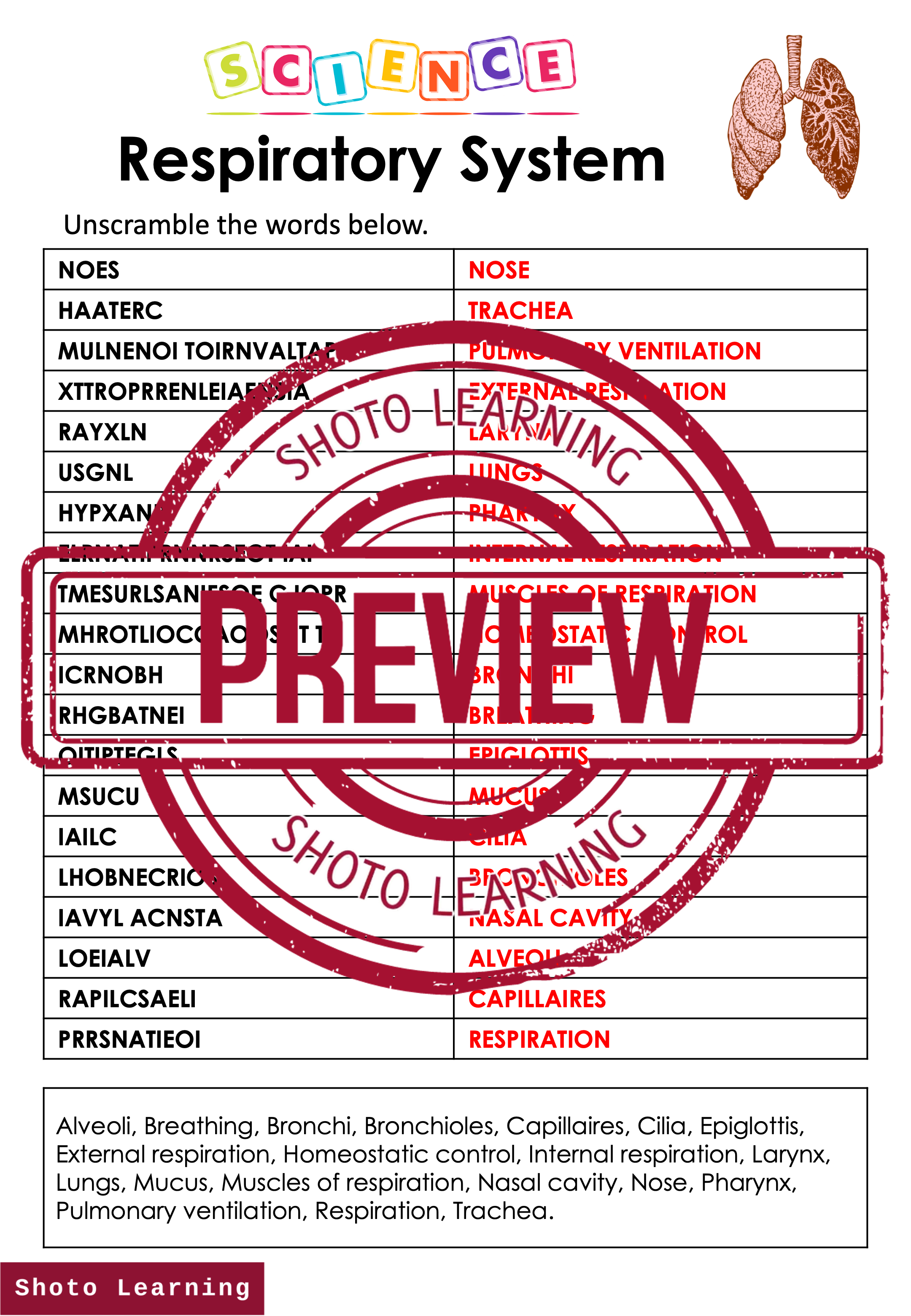 RESPIRATORY SYSTEM SCIENCE ACTIVITY - SCRAMBLE WORDS VOCABULARY WORD ...
