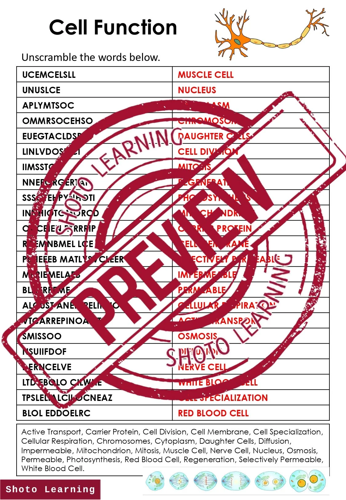CELL FUNCTION SCIENCE ACTIVITY - SCRAMBLE WORDS VOCABULARY WORD GAME ...