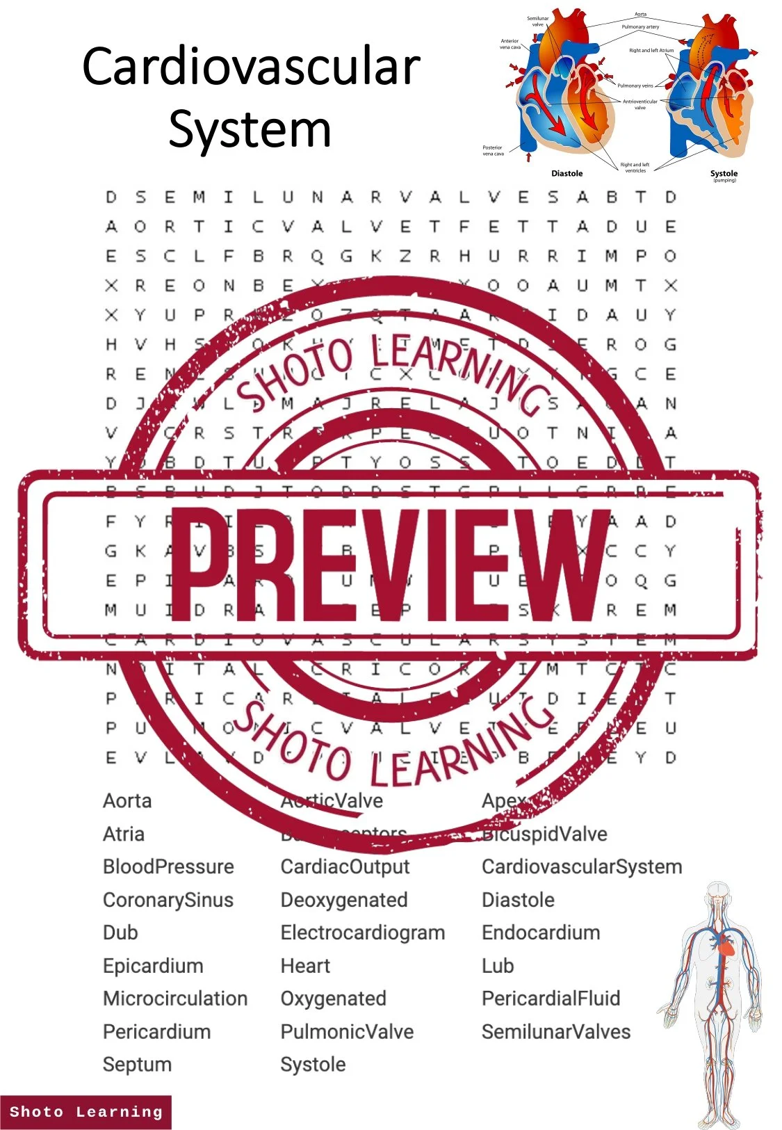 CARDIOVASCULAR SYSTEM SCIENCE ACTIVITY - WORD FIND FINDER GAME ...