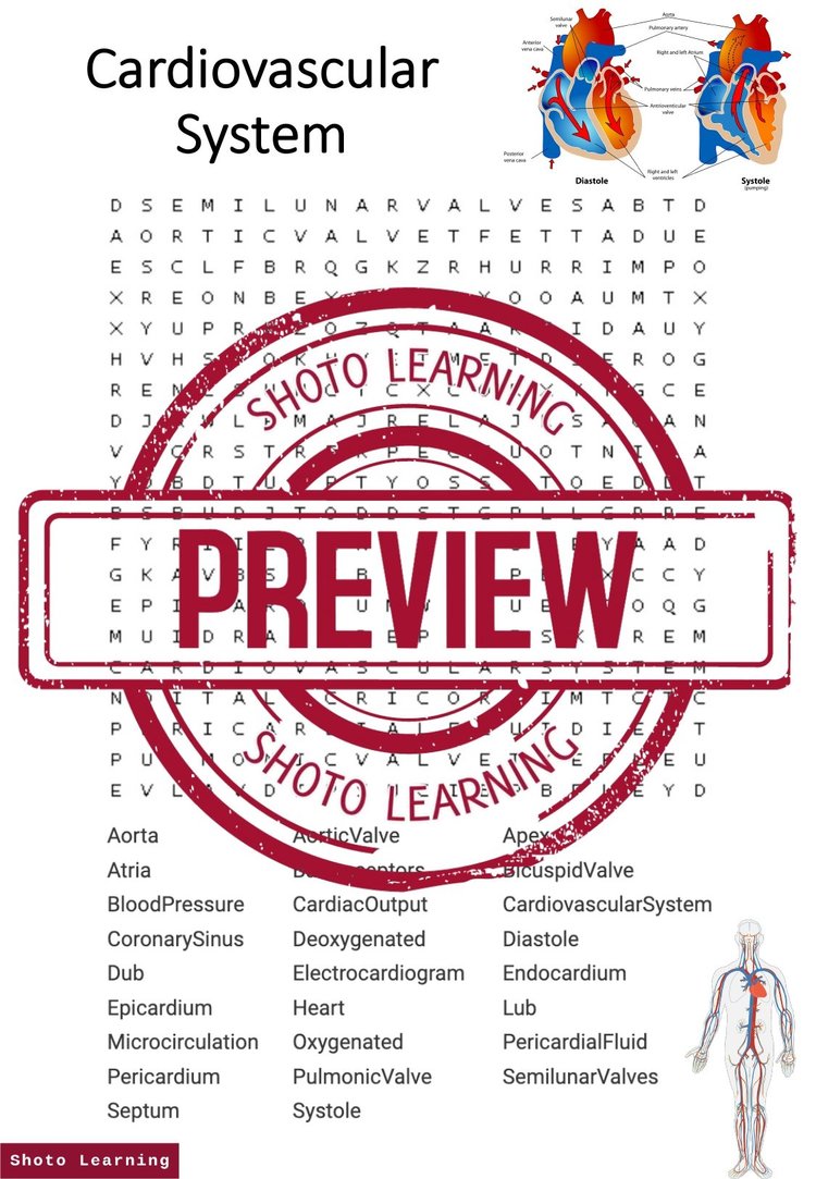CARDIOVASCULAR SYSTEM SCIENCE ACTIVITY - SCRAMBLE WORDS VOCABULARY WORD ...