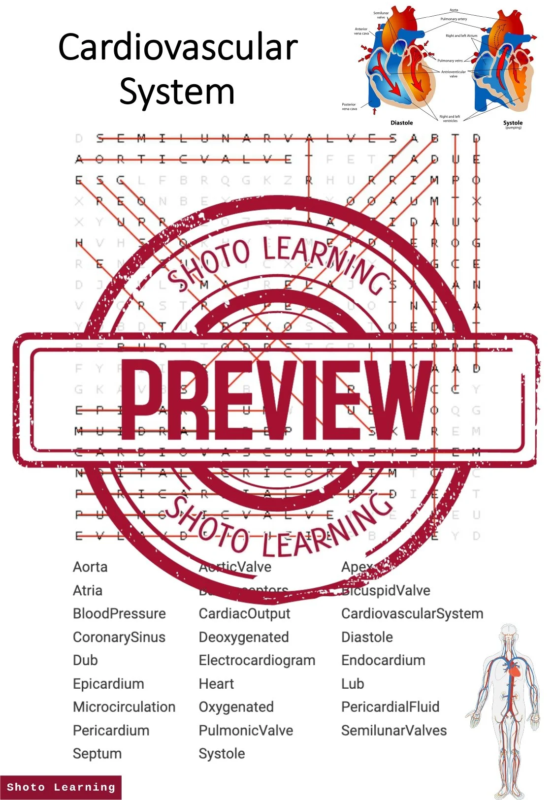 CARDIOVASCULAR SYSTEM SCIENCE ACTIVITY WORD FIND FINDER GAME CARDIOVASCULAR SYSTEM SCIENCE ACTIVITY WORD FIND FINDER GAME