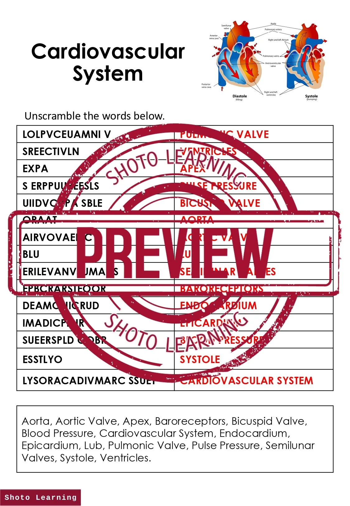 CARDIOVASCULAR SYSTEM SCIENCE ACTIVITY - SCRAMBLE WORDS VOCABULARY WORD ...