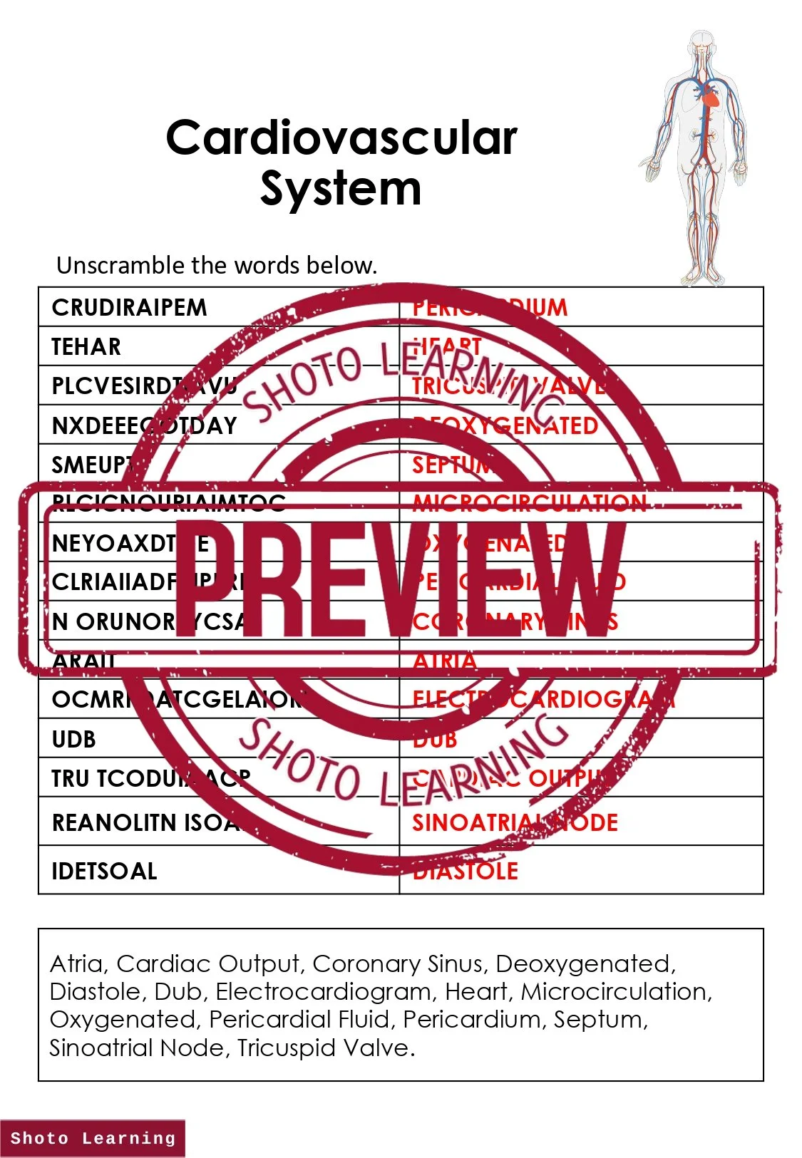 CARDIOVASCULAR SYSTEM SCIENCE ACTIVITY - SCRAMBLE WORDS VOCABULARY WORD ...