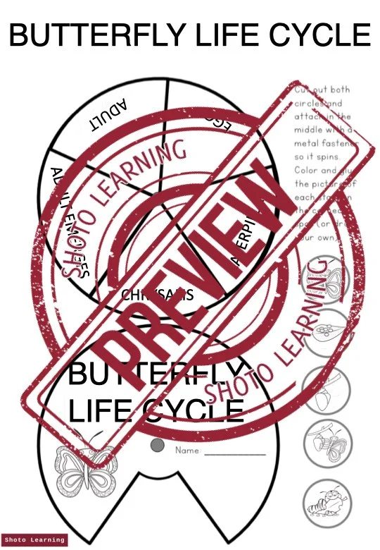 Fluttering Transformations: Butterfly Life Cycle Bingo Game