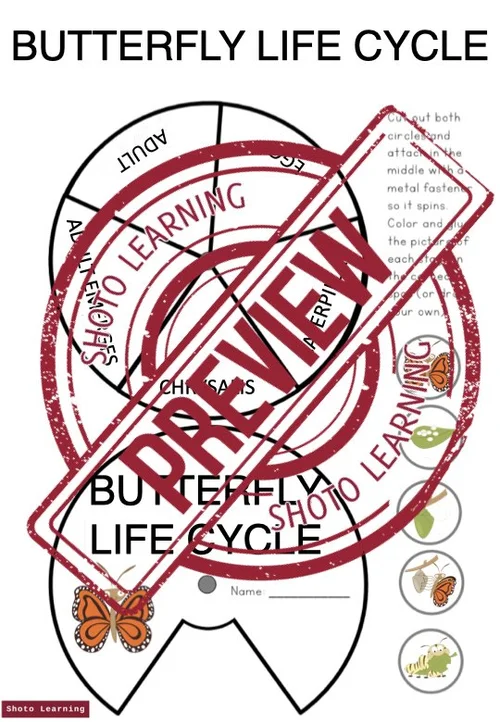 B is for Butterfly: ABC Order Worksheet on the Life Cycle of a ...