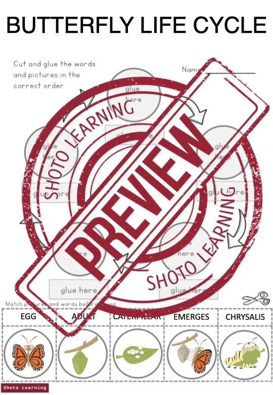 Fluttering Through Stages: Butterfly Life Cycle Word Search Worksheets ...