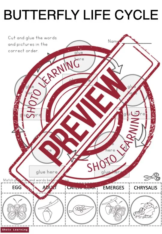 Fluttering Through Stages: Butterfly Life Cycle Word Search Worksheets ...