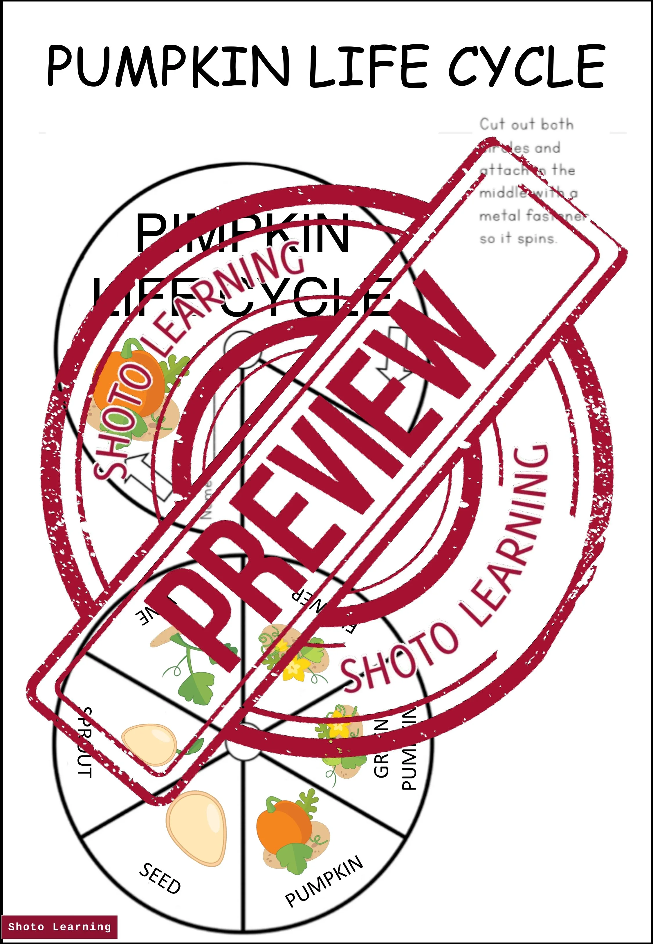 FIVE 5 SENSES SPIN WHEEL SCIENCE ACTIVITY CRAFT CREATIVITY GAME PUZZLE ...