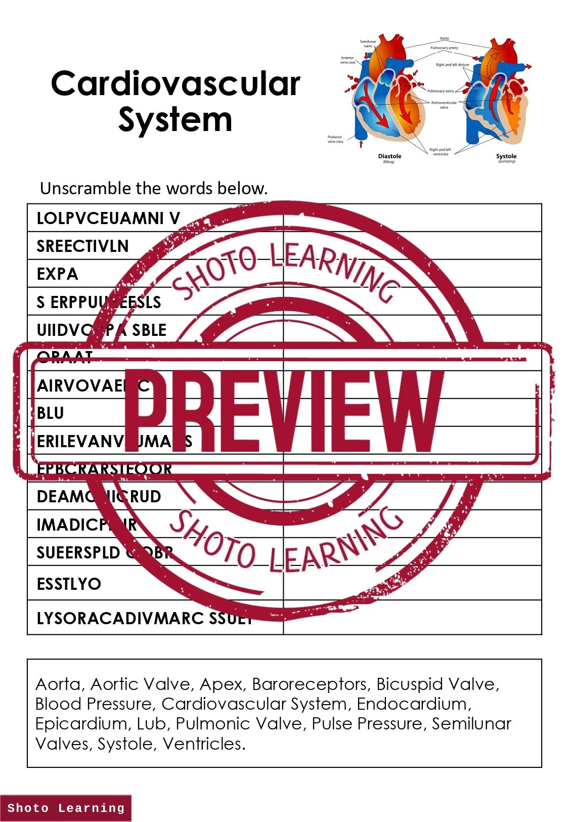 CARDIOVASCULAR SYSTEM SCIENCE ACTIVITY - SCRAMBLE WORDS VOCABULARY WORD ...