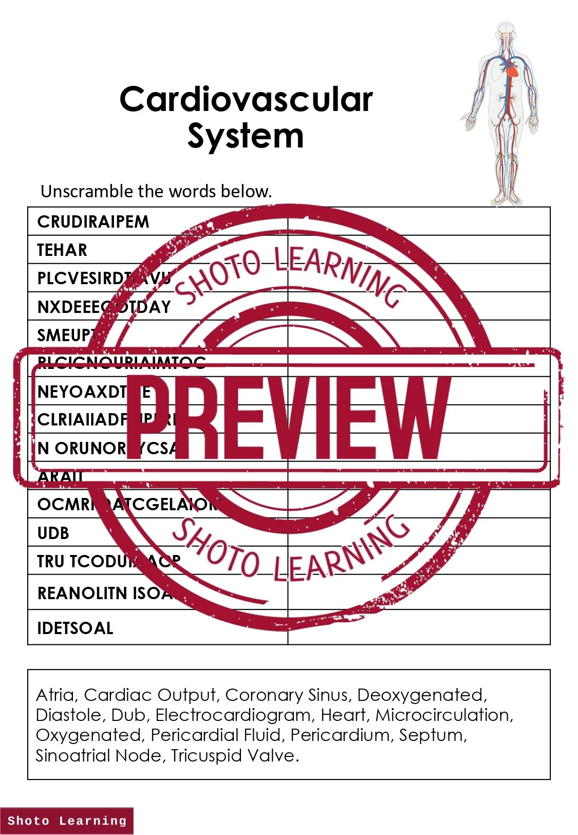 CARDIOVASCULAR SYSTEM SCIENCE ACTIVITY - SCRAMBLE WORDS VOCABULARY WORD ...