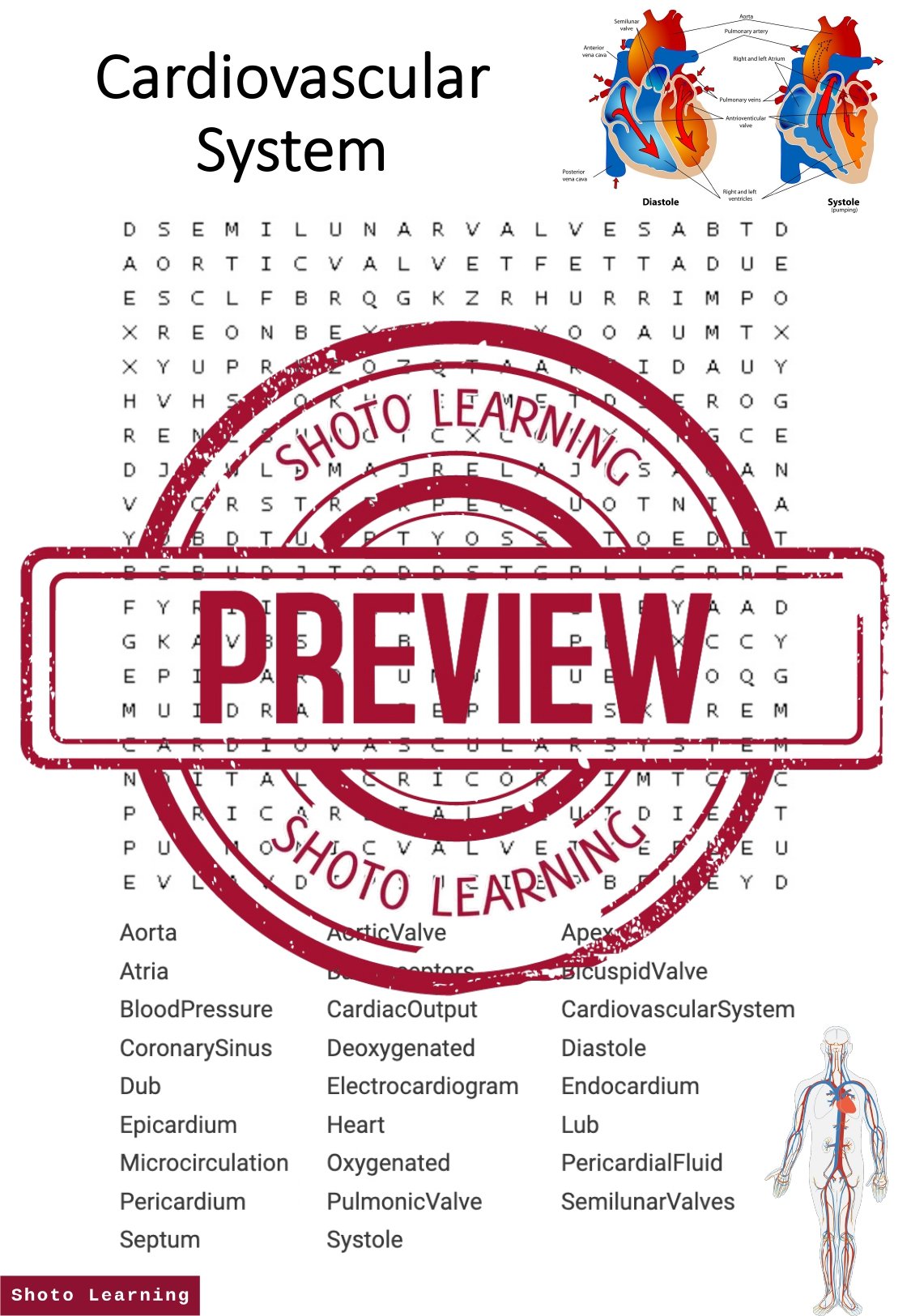 CARDIOVASCULAR SYSTEM SCIENCE ACTIVITY - BUNDLE WORD FIND SCRAMBLE ...