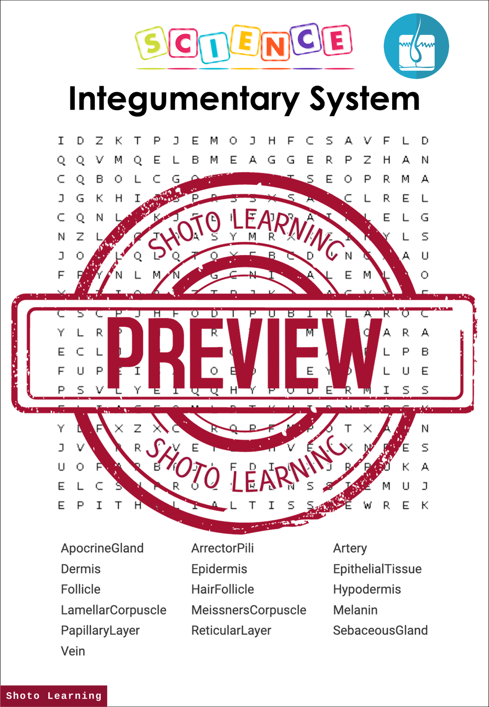 Genetics Worksheet Bundle: Learn Genetics with Fun and Educational ...