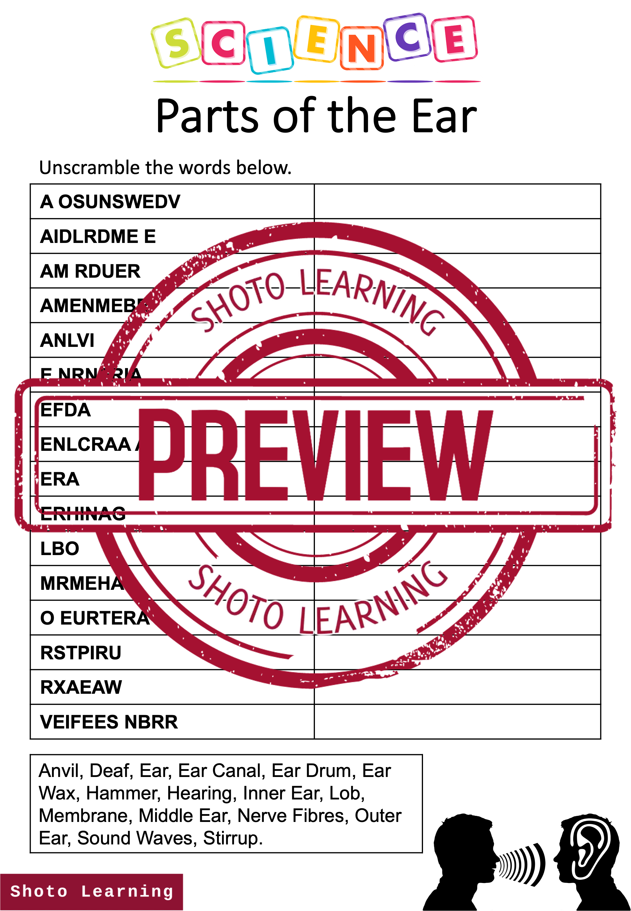 BIOMOLECULES SCIENCE ACTIVITY - BUNDLE WORD FIND SCRAMBLE WORDS ...