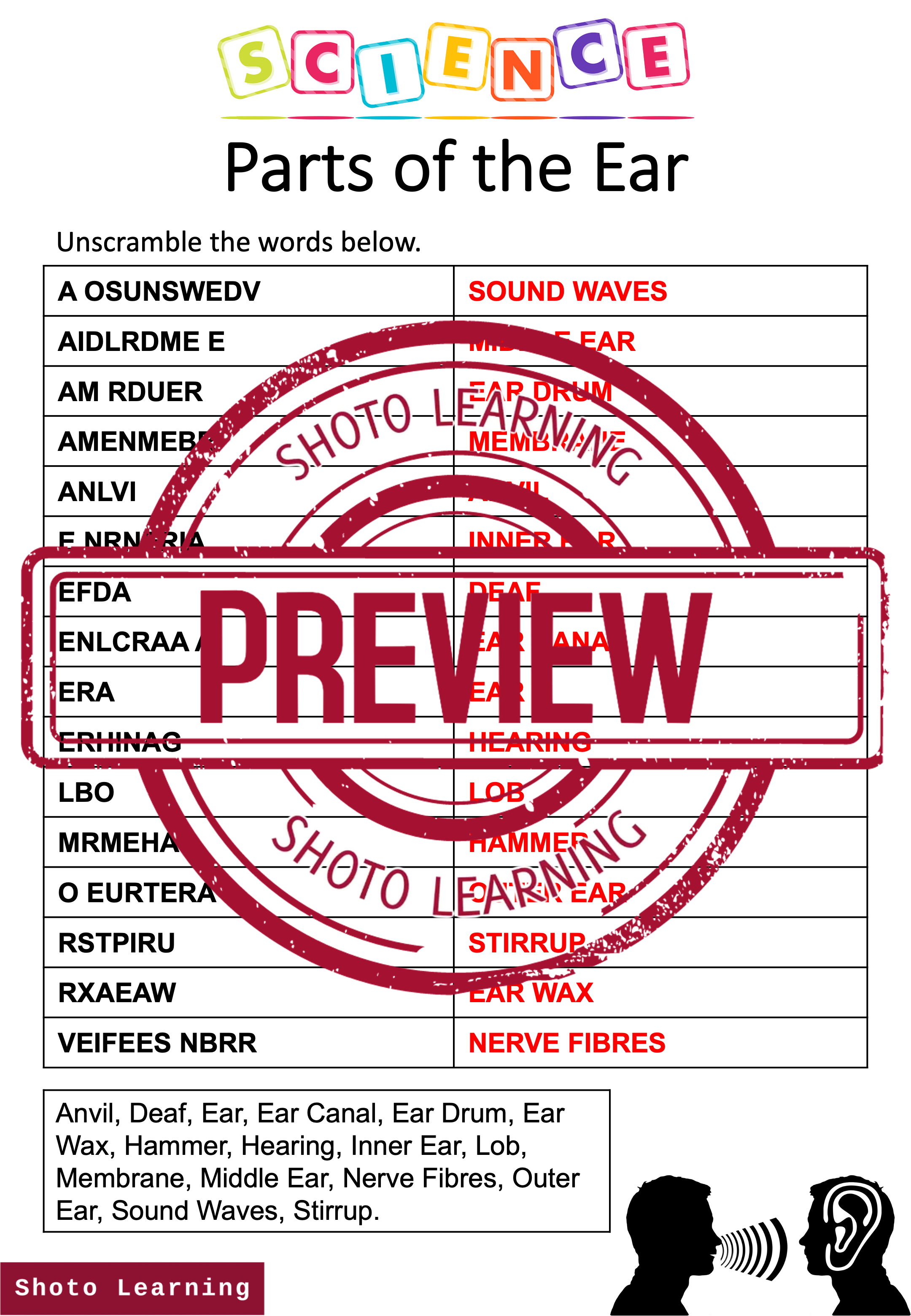 BIOMOLECULES SCIENCE ACTIVITY - BUNDLE WORD FIND SCRAMBLE WORDS ...