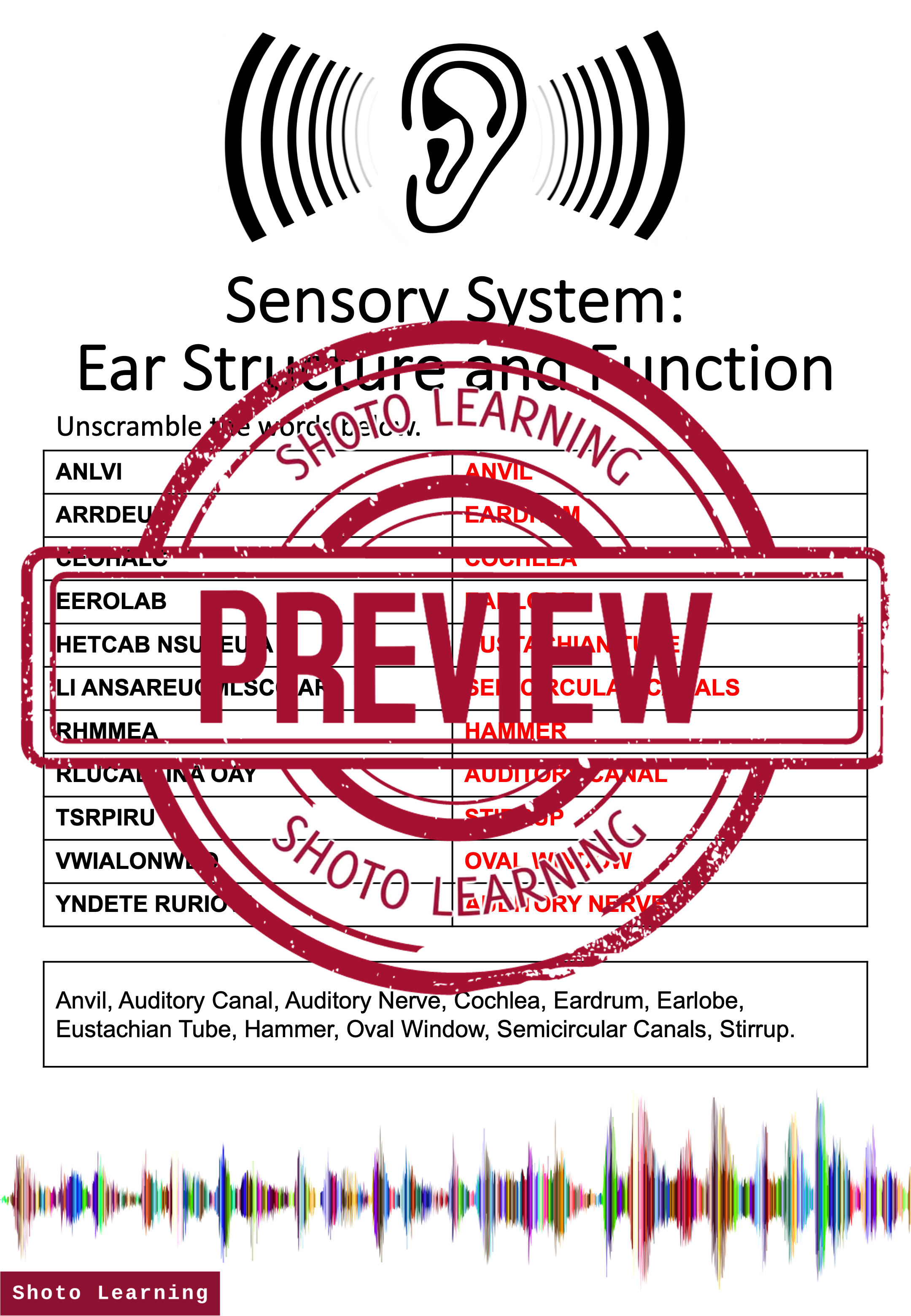 SENSORY SYSTEM EAR STRUCTURE AND FUNCTION - BUNDLE WORD FIND SCRAMBLE ...