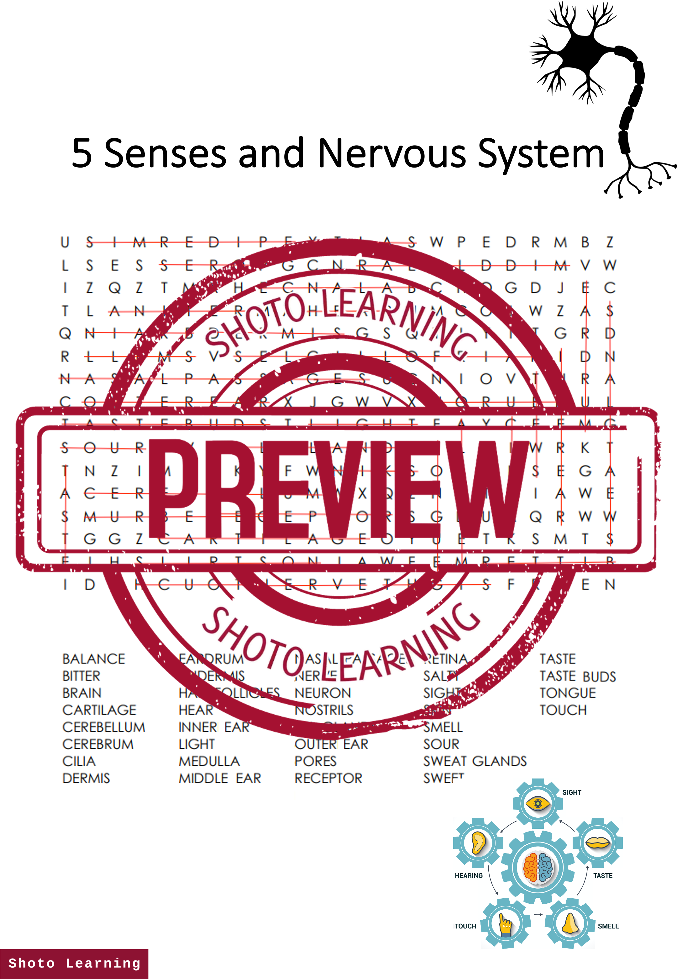 Comprehensive Cell Biology Bundle: Explore, Learn, and Master Cellular ...