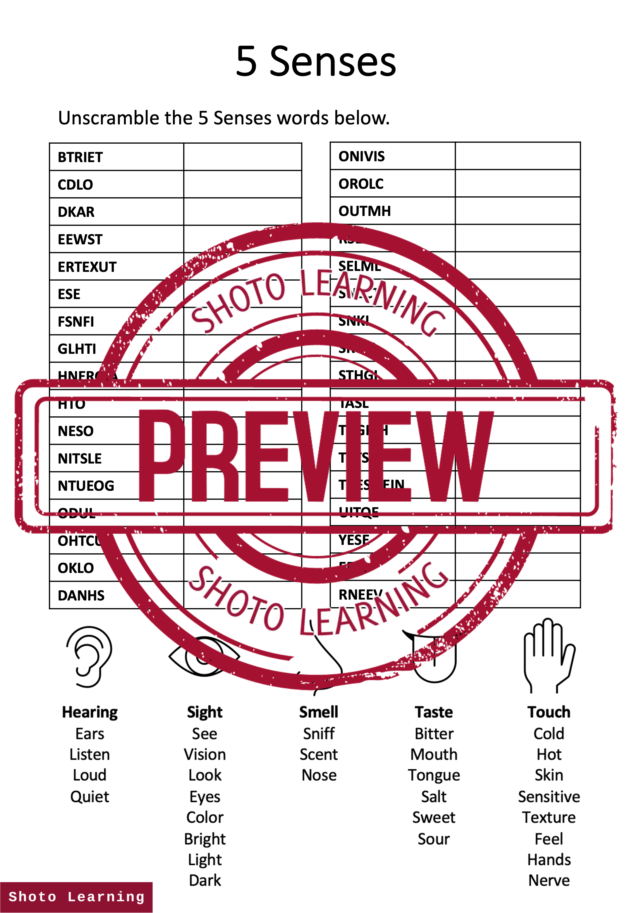 MUSICAL SCIENCE ACTIVITY - BUNDLE WORD FIND SCRAMBLE WORDS MUSIC ...