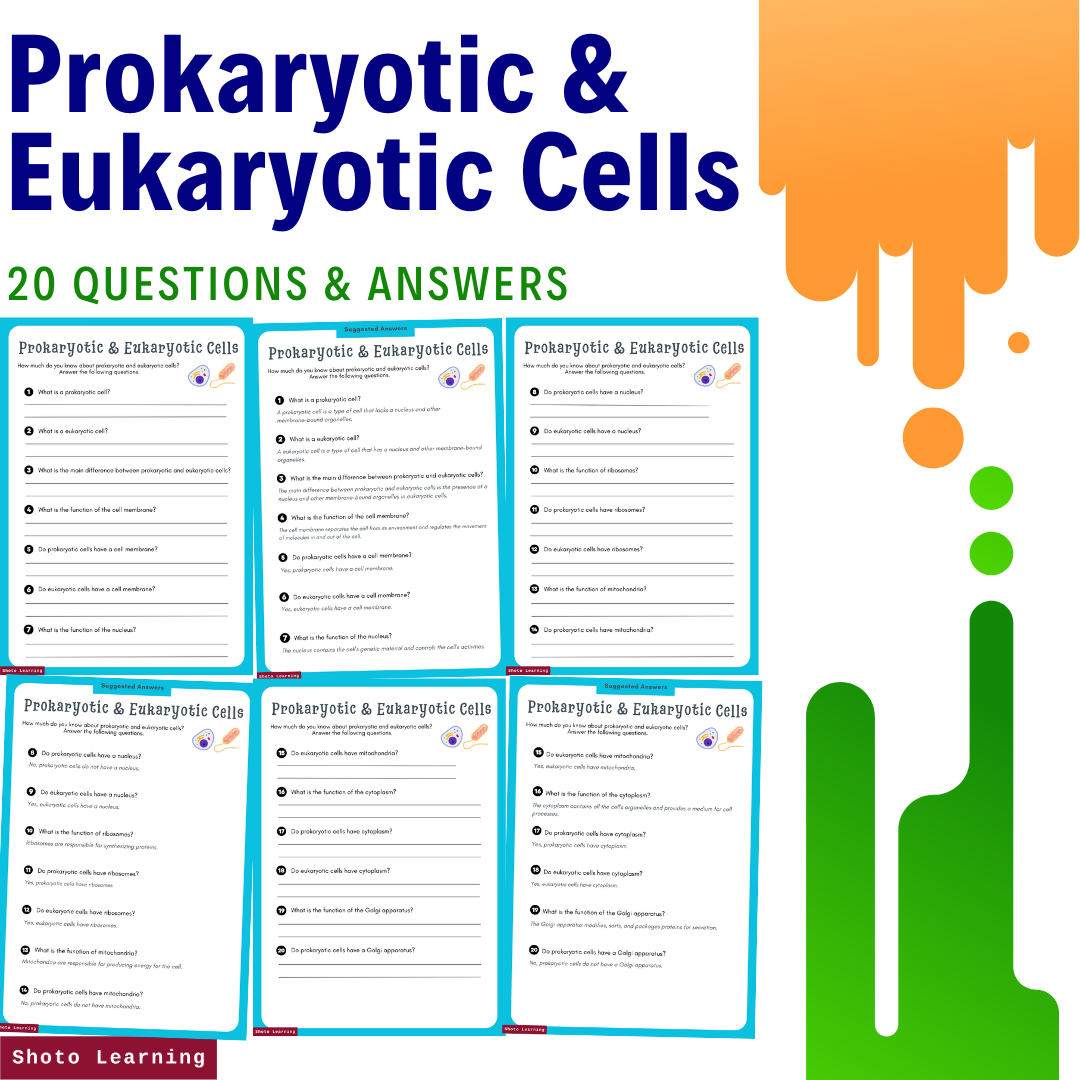 Prokaryotic and Eukaryotic Cells — SHOTO LEARNING | English Math ...