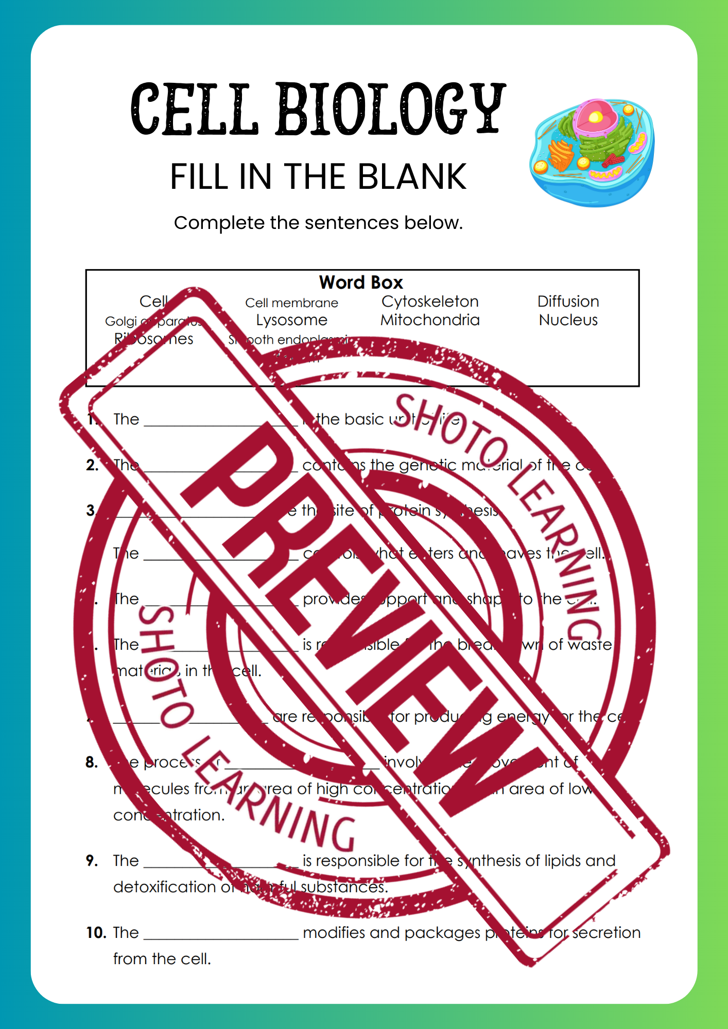 Digestive System Fill in the Blank Worksheets A Fun and Educational Way ...