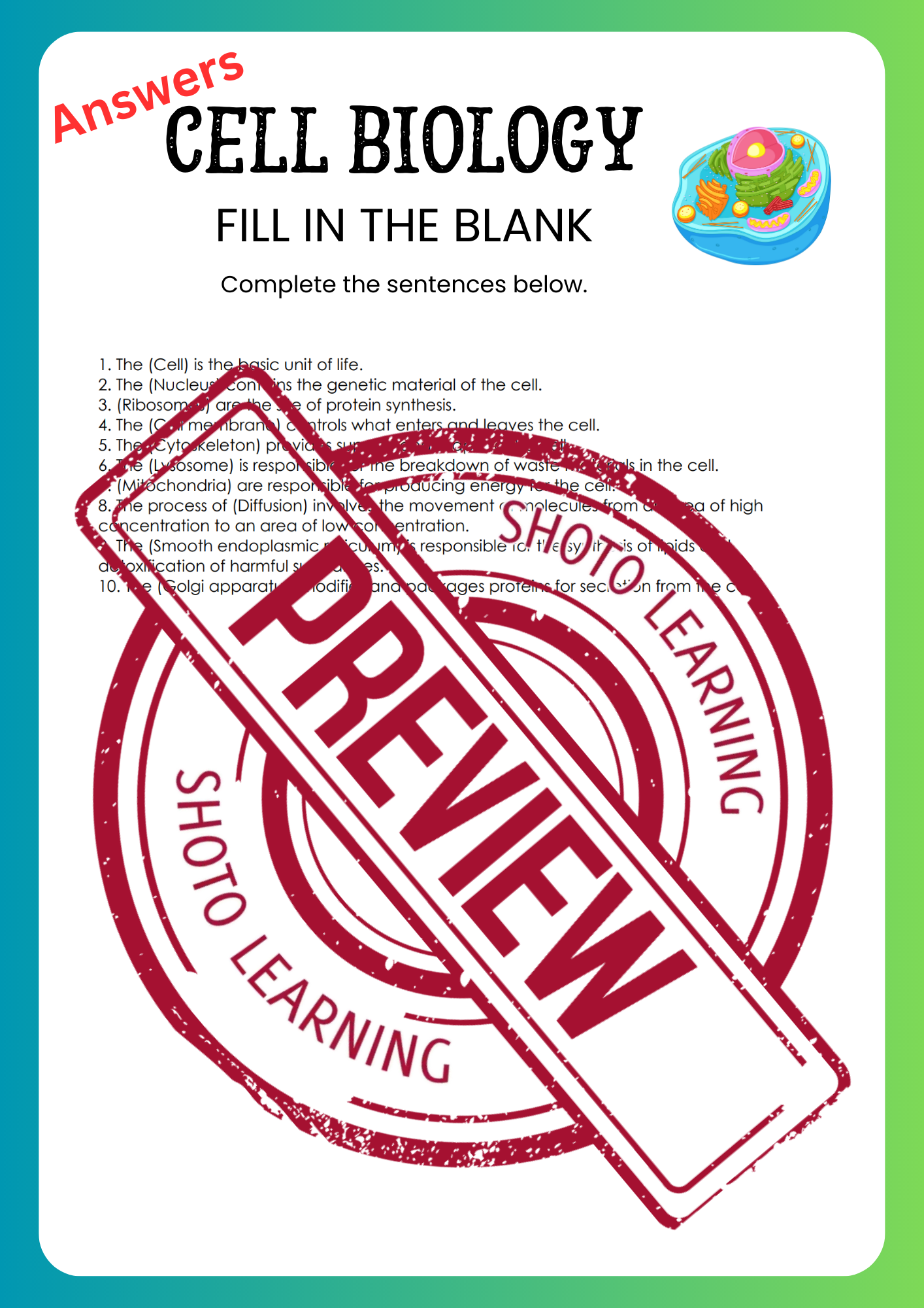Digestive System Fill in the Blank Worksheets A Fun and Educational Way ...