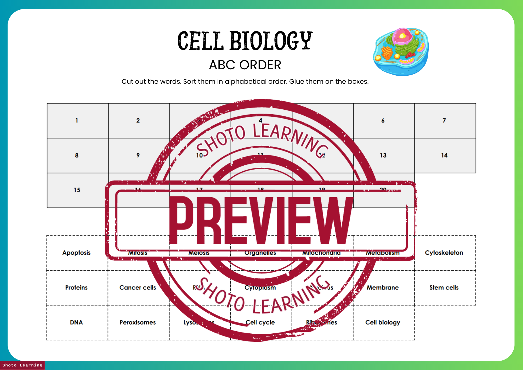 Nutrition Puzzle: Cut and Paste for Optimal Gut Health — Shoto Learning ...