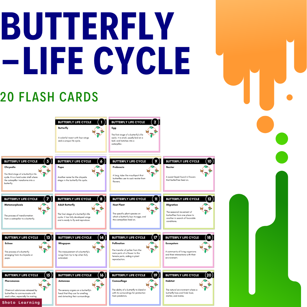 Explore the Fascinating Butterfly Life Cycle with Interactive Flash ...