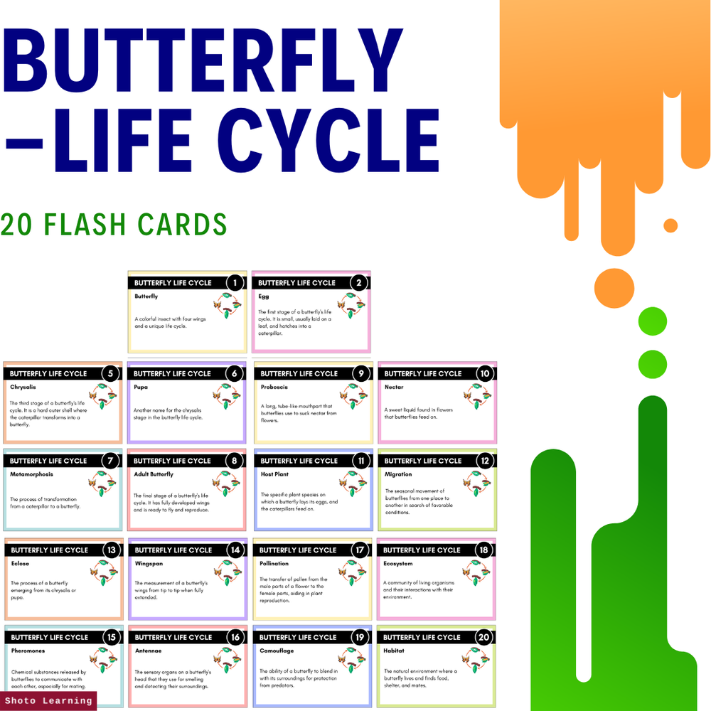 Explore the Butterfly Life Cycle with Engaging Matching Worksheets ...